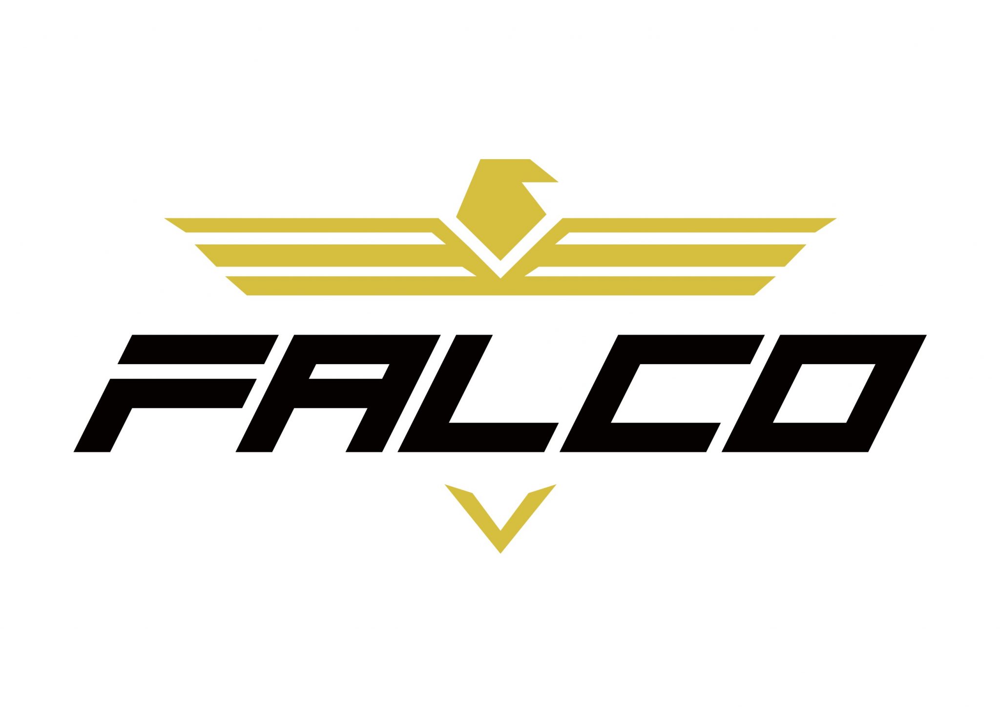 Masters 4 Stroke » 2018/11/11 FALCO CUP 1周年記念レースリザルト・フォトギャラリー更新